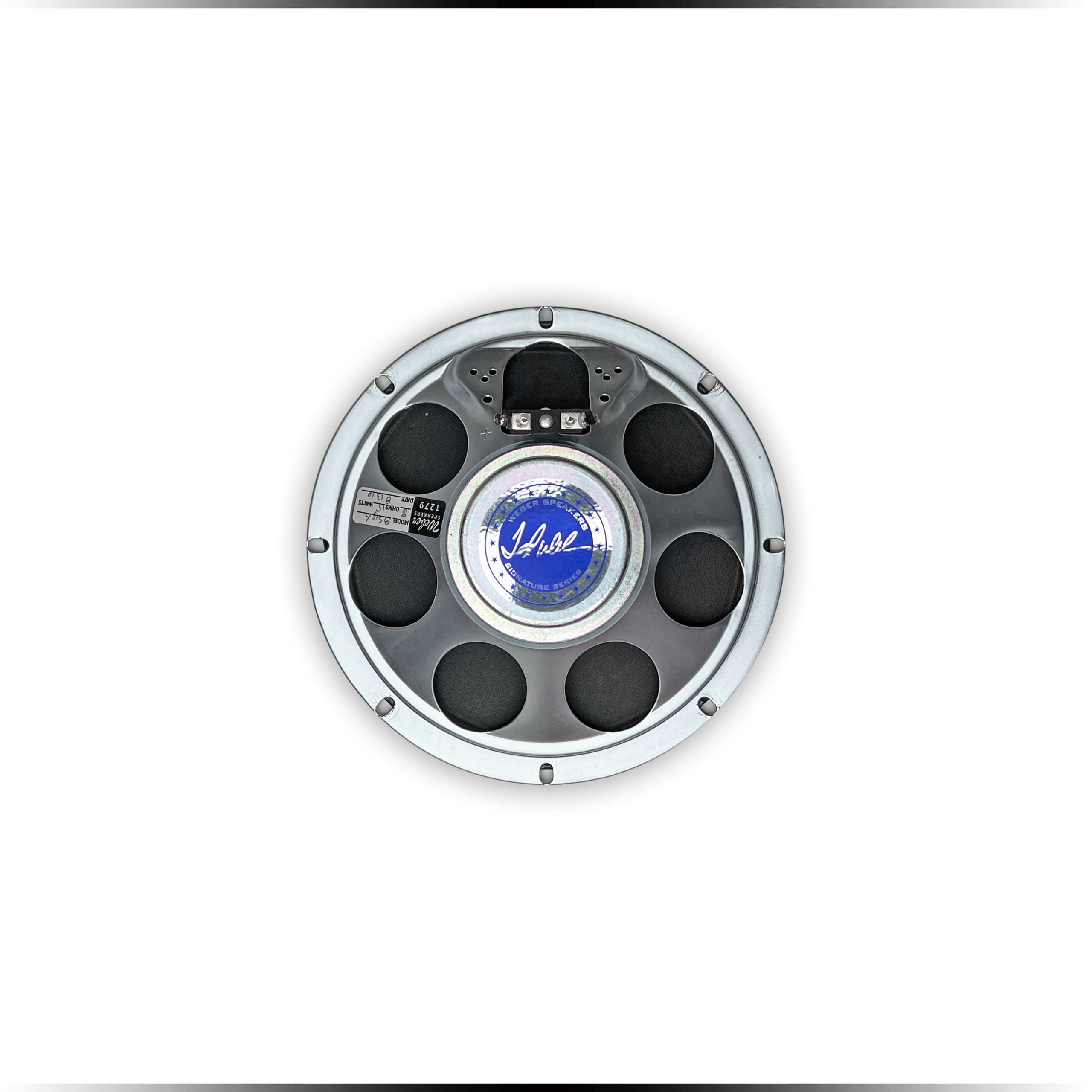 WEBER ALNICO 8 Signature Series aus meiner Lautsprechersammlung